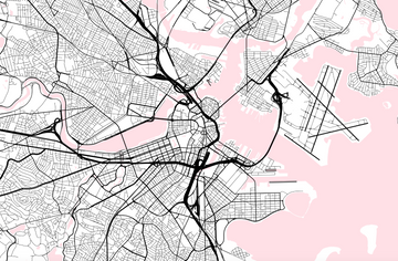 Pink Minimalist Maps – VirtualMap