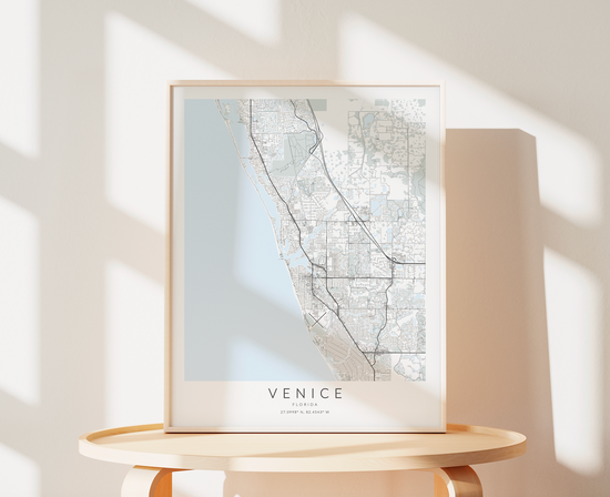 Venice Florida Map Print – VirtualMap