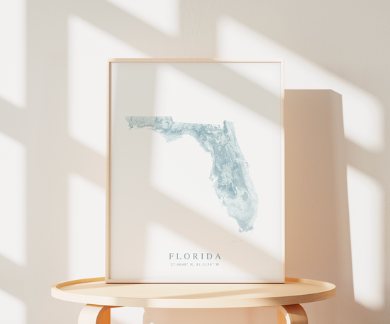Florida Map Print – VirtualMap