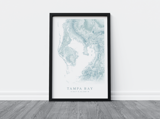 Tampa Bay Map Print – VirtualMap