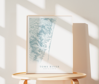 Toms River Map Print – VirtualMap