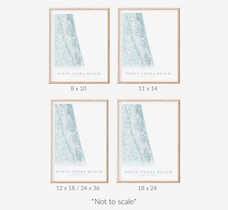 Ponte Vedra Beach Map Print – VirtualMap
