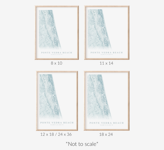 Ponte Vedra Beach Map Print – VirtualMap