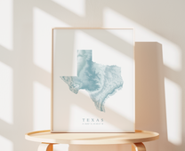 Texas Map Print – VirtualMap