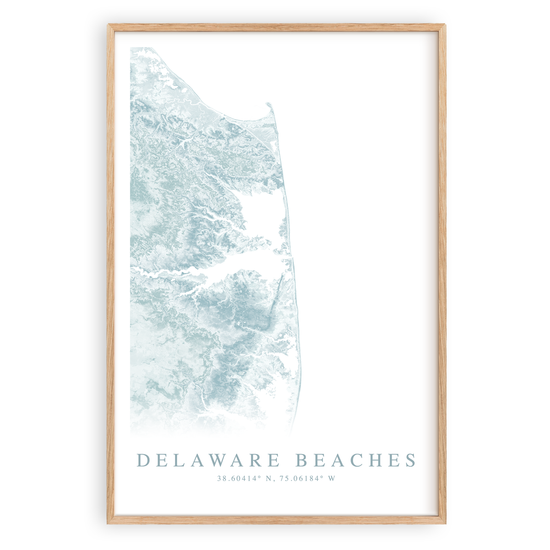 Delaware Beaches Map Print – VirtualMap