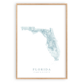 Florida Map Print – VirtualMap