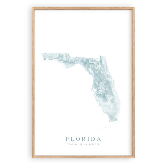Florida Map Print – VirtualMap