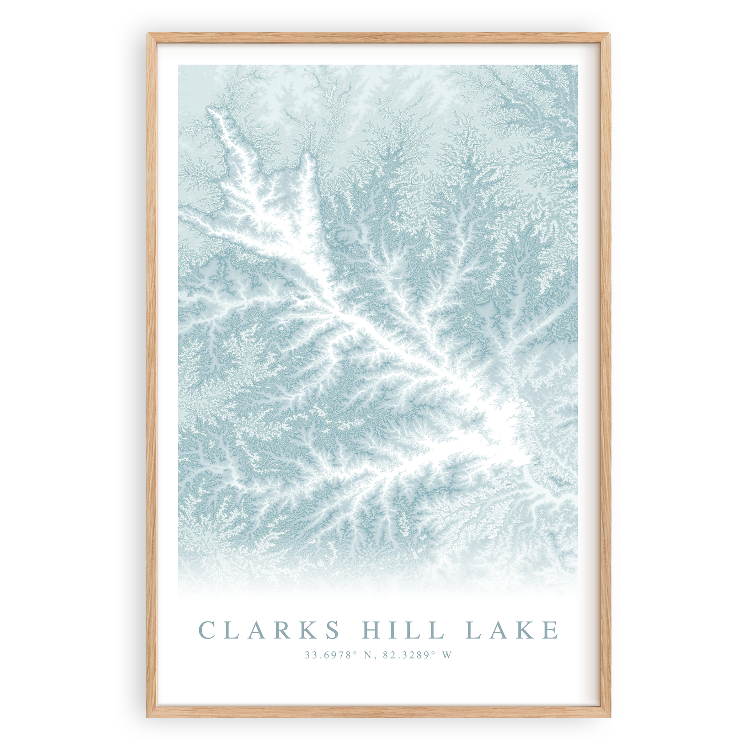 Clarks Hill Lake Map Print – VirtualMap